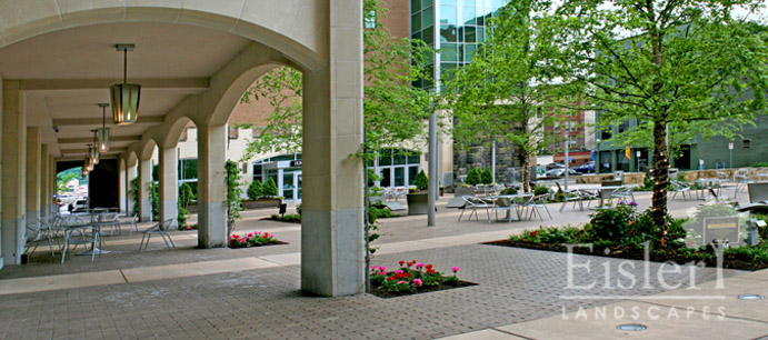 Point Park University