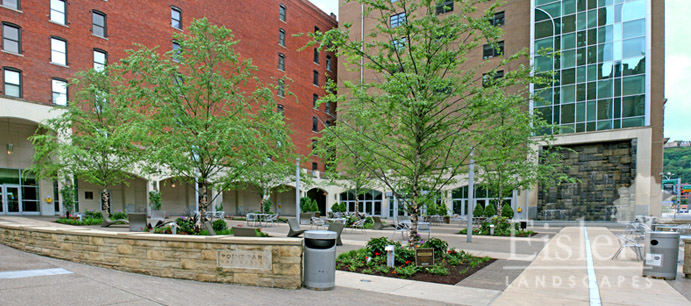 Point Park University